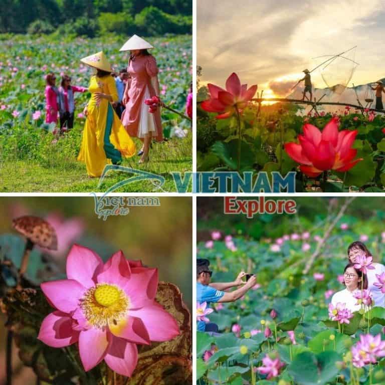 Transfer Da Nang to Hoi An – Best Ways & Travel Guide 2025 - Vietnam ...